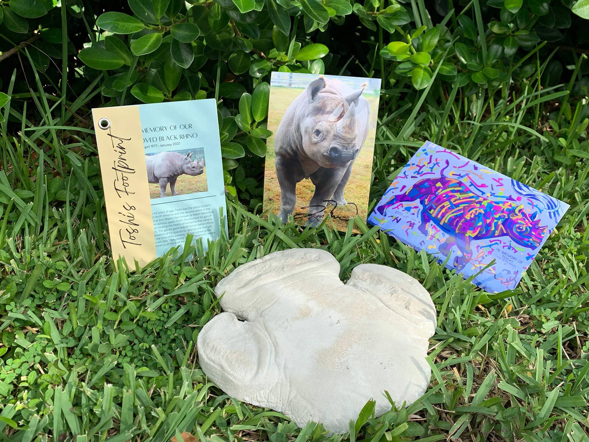 Zoo Miami Membership and More! - Zoo Miami Foundation Zoo Miami Membership and More! - Zoo Miami Foundation