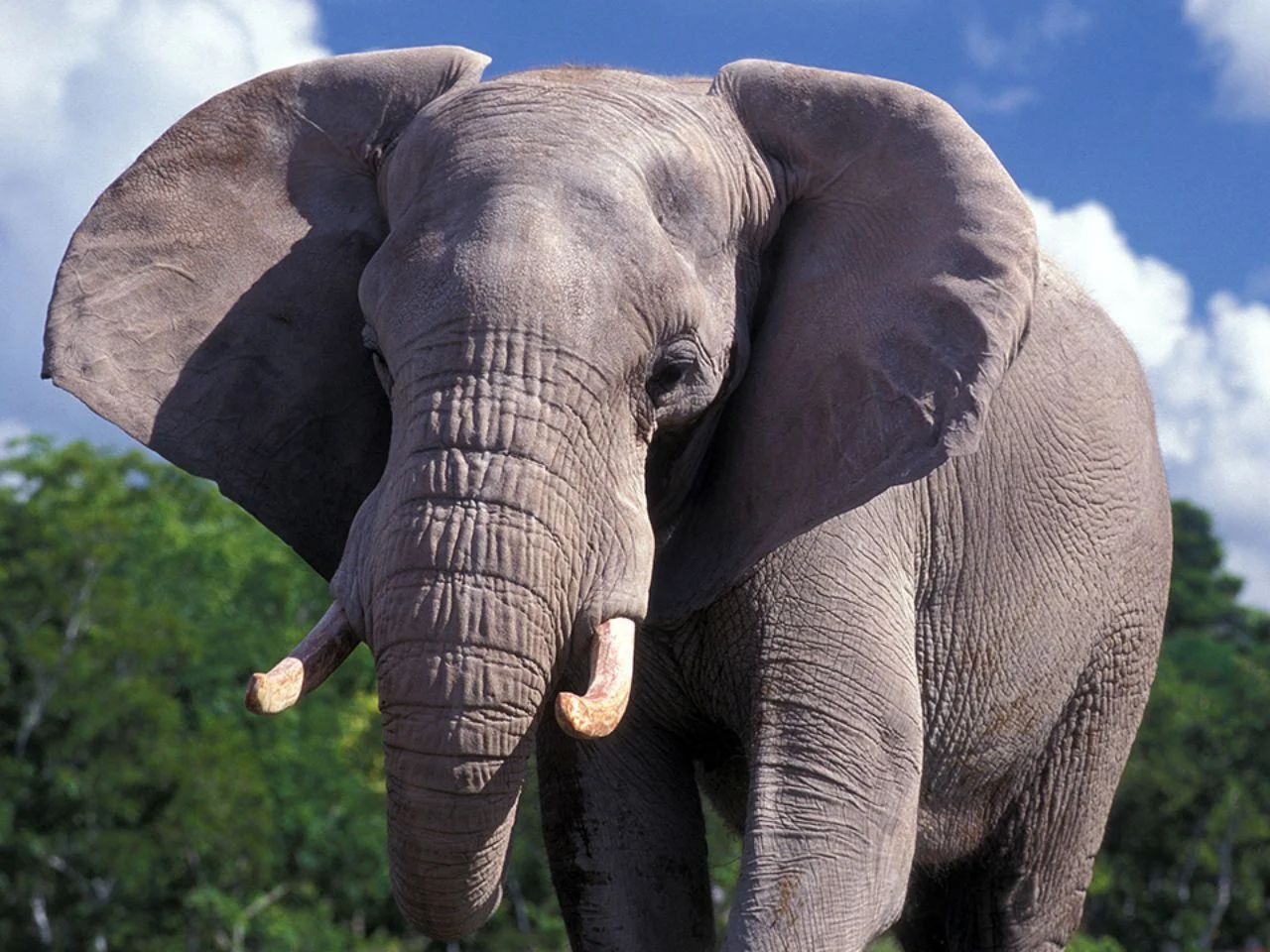 Zoo Miami Membership and More! - Zoo Miami Foundation Zoo Miami Membership and More! - Zoo Miami Foundation